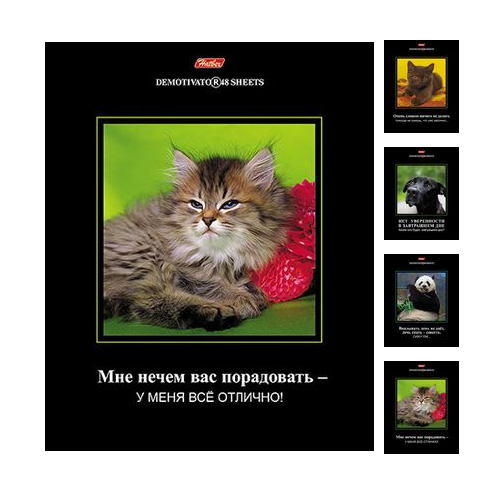 Купить Тетрадь Hatber "Демотиваторы, выпуск 10" А5, 48 листов, в клетку, на скобе: в Алмате ...